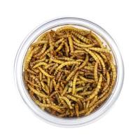 China Pet Feeding Made Easy with Dried Mealworms Ingredients Mealworms Shelf Life 1 Year for sale