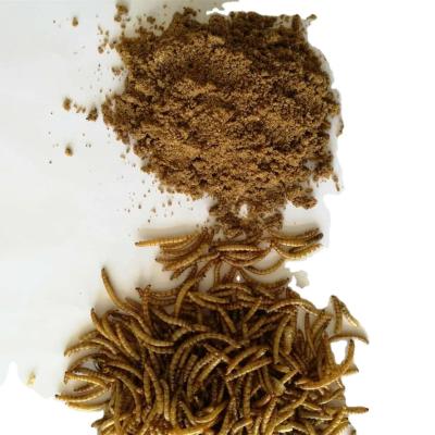 China Feeding Pet Keep Freeze Dried Worms in Dry And Cool Place for Optimal Results for sale