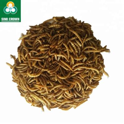 China Delicious Dried Mealworms From Dry And Cool Place Storage Made With Mealworms for sale