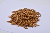 China Free Sample 57% High Protein yellow mealworm	Dried Mealworms for Pet Feed for sale
