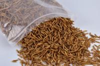 China yee factory cost stock fish meal animal feed dry meal worm dry mealworm dried mealworms for sale