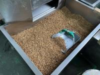China Non GMO Natural Mealworms private label Pet food bird Dried mealworms for Chickens Wild Birds for sale
