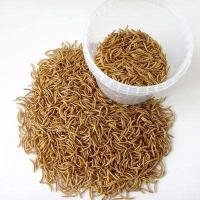 China ANIMAL FEED PREMIX MULTI ELEMENT CHELATE PIG FEED ANIMAL ADDITIVE IN BAGS for sale