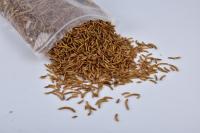 China Yee Factory Cost Stock Fish Meal Animal Feed Dry Meal Worm Dried Mealworms for sale