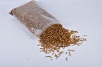 China Yee Factory Cost Stock Fish Meal Animal Feed Dry Meal Worm Dried Mealworms for sale