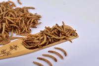 China Wholesale Low Cost Guaranteed Quality Proper Price Bulk Dried Pet Food Mealworms for sale