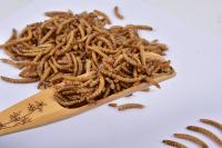 China Wholesale Low Cost Guaranteed Quality Proper Price Bulk Dried Pet Food Mealworms for sale