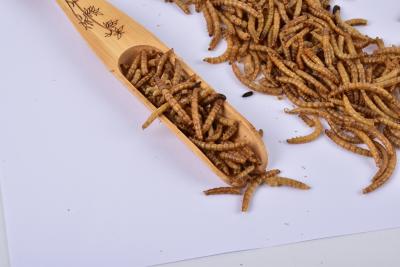 China Wholesale High Quality Yellow Dried Mealworms, Dried Mealworm Powder for sale