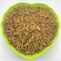 China High Protein Parrot Mixed Food Specialized Small Parrots Bird Food With Mealworms for sale