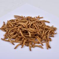 China DRIED MEALWORMS MEALWORMS BLACK SOLDIER FLY LARVAE from Vietnam Akina for sale