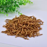 China mealworms dried Freeze snacks Wholesale of natural pet snacks for birds and hamsters food yellow mealworms dried Freeze for sale