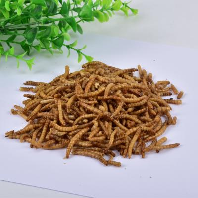 China mealworms dried Freeze snacks Wholesale of natural pet snacks for birds and hamsters food yellow mealworms dried Freeze for sale