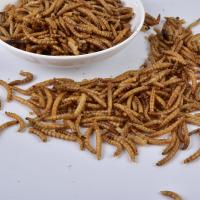 China Factory Minimum Order Quantity High Protein Other Pet Food Dried Mealworms for Animal Feed Additives for sale