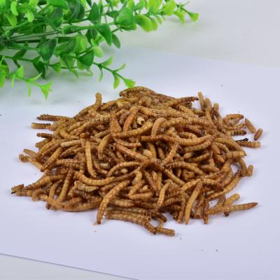China Mealworm yellow mealworm bird turtle hamster special snack worm dried bird food pigeon food for sale