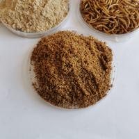 China Feed Grade Mealworm Protein Powder with Defesins for Non-Admixture High-Performance for sale