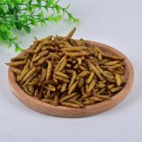 China Dried Black Soldier Fly Availability Widely Available Shelf Life 1 Year Dry And Crispy for sale