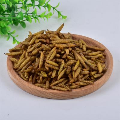 China Dried Black Soldier Fly Availability Widely Available Shelf Life 1 Year Dry And Crispy for sale