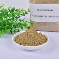 China 20% Carbohydrate Content Black Soldier Fly Protein Powder for Optimal Health for sale