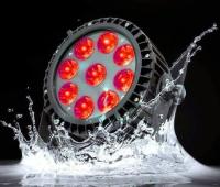 China Lighting Solutions Service Agi32 Layout LED PAR Light for Night Club Decoration for sale