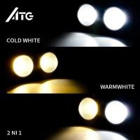 China Track Mount ATG 2 Eyes Blinder 2*100W COB Warm White Cool White Par Light for Theater for sale