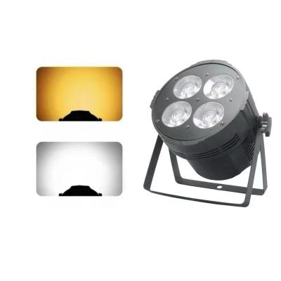 China Stage Zoom Theater 2in1 Cob Led Par Light With Cold White And RGBW Light Source for sale