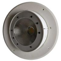 China Outdoor PVC Battery Powered LED PAR Light 100W For Disco KTV Party Wedding Stage for sale