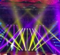China IP44 Rated Single DJ Disco Club Laser Light Projector for Outdoor Christmas Party for sale