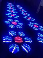 China Tianxin LED Light Source Outdoor 7 Halo Hexagon LED Pixel Light for Stage Light Retro for sale