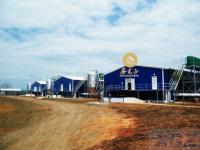 China steel layer chicken house for sale