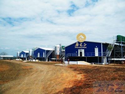 China steel layer chicken house for sale
