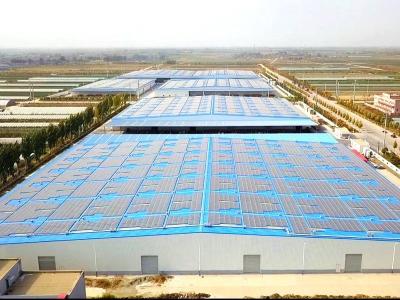 China Large Span Logistics Warehouse With Solar Panel for sale
