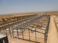 China Industrial Steel Structure Building Galvanized Customized for sale