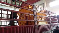 China High Strength Hammer stone crusher plant / rock crushing equipment for sale