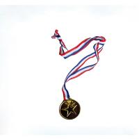 China High Capacity Gold Evaporation Vacuum Coating Machine For Plastic Medal Coin for sale