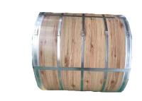 China DX51D PPGL Steel Coil Astm A240 304 Stainless Steel Plate for sale