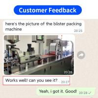 China Blister Packing Machine Alu PVC Tablet Capsule Auto Sealing Forming for sale