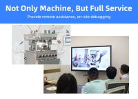 China High-Performance Tablet Press Machine for Pharmaceutical Tablet Making for sale