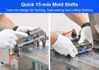 China High-Speed Blister Packing Machine for Pharmaceutical Industry for sale