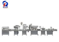China Fully Automatic 16 Channel Tablet Counting And Capping And Cap Screwing Production Line for sale