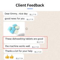 China Rotary Tablet Press Machine For Large Diameter Dishwashing Dishwasher Tablet for sale