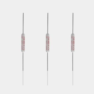 China Radial Lead Resettable Thermal Fuse HVAC 10A Thermal Fuse Ceramic Encapsulated for sale