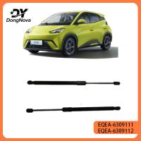 China EQEA-6309111 EQEA-6309112 Back door right gas spring body for BYD Seagull for sale