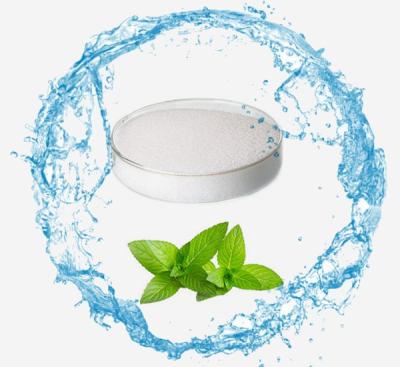China supply WS-23 Cooling Agent WS23 in bulk white crystalline powder for sale