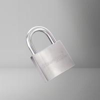 China Rarlux 30mm-70mm Custom Anti-cut Candado Custom Heavy Duty Rarlux Stainless Steel Padlock 30/40/50/60/70mm Size for sale