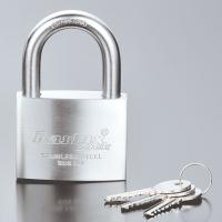 China Rarlux Custom Anti-Theft Durable Heavy-Duty 304 Stainless Steel Padlock with 3 Brass Keys Eco-Friendly for sale