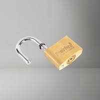 China Rarlux Waterproof Ring Solid Padlock High Quality Candado Security Brass Padlock With Computer Key in Bulk 40 50 60 70mm for sale