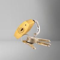 China Rarlux Waterproof Ring Solid Padlock High Quality Candado Security Brass Padlock With Computer Key in Bulk 40 50 60 70mm for sale