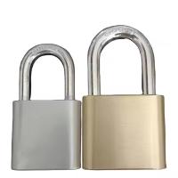 China Rarlux Trendy Style Solid Padlock Anti-theft Hardened Steel Shackle Sprung Brass Padlock for sale