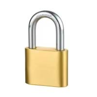 China Rarlux Trendy Style Solid Padlock Anti-theft Hardened Steel Shackle Sprung Brass Padlock for sale