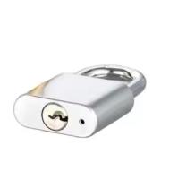 China Rarlux Trendy Style Solid Padlock Anti-theft Hardened Steel Shackle Sprung Brass Padlock for sale